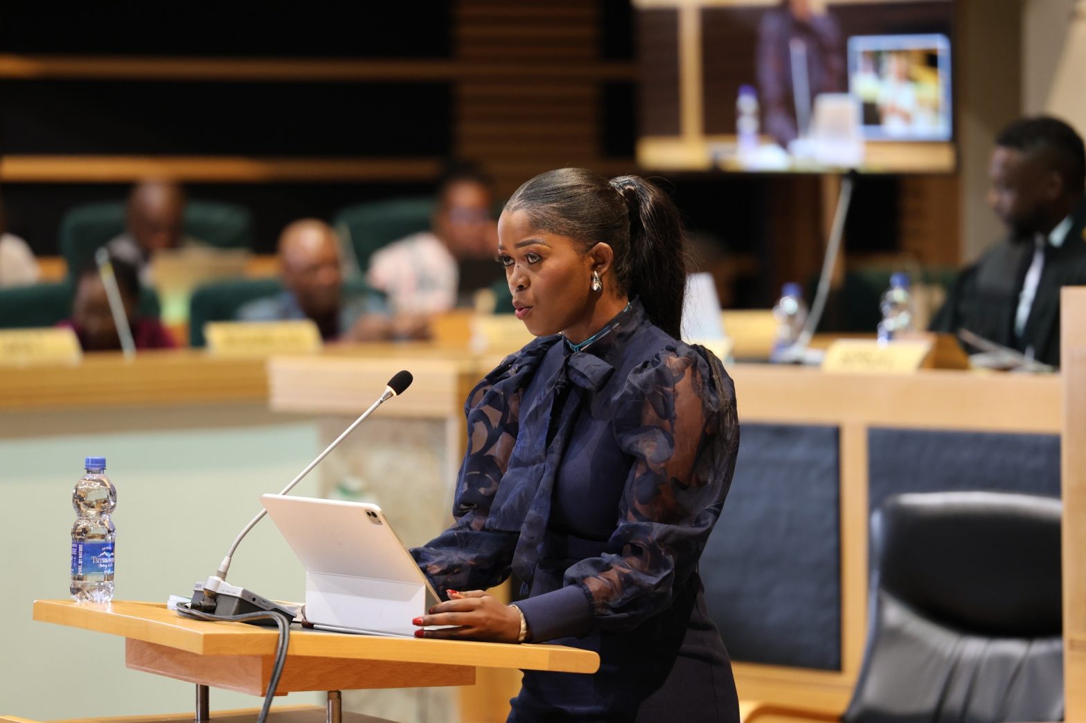 MEC Sibulele Ngongo Charts 2025/26 Vision for Sport, Arts, and Culture ...